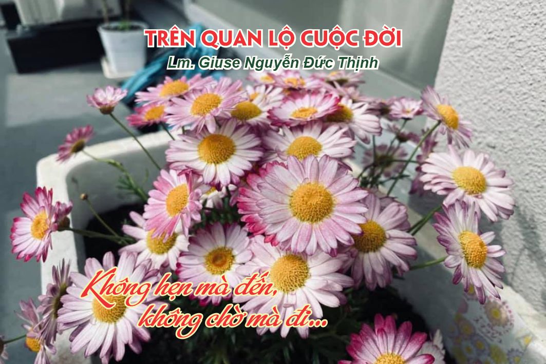Không hẹn mà đến, không chờ mà đi…