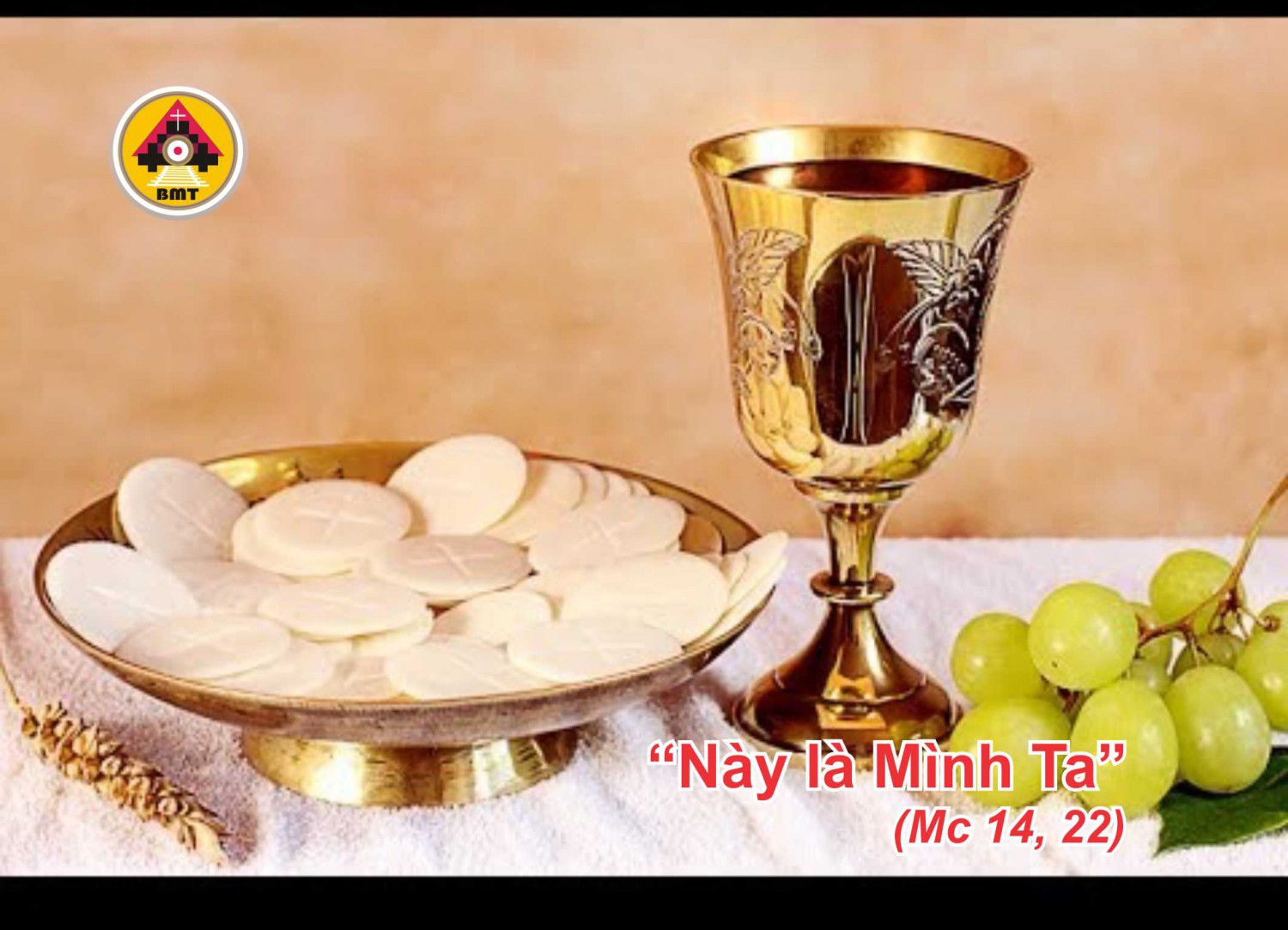 CN Lễ Mình và Máu Thánh Chúa